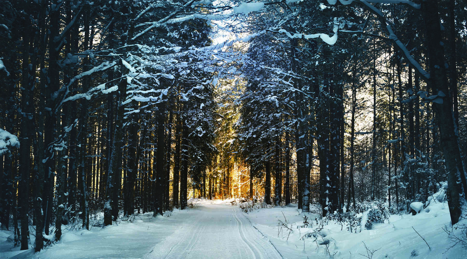 A Complete Guide to Self-Care for the Shishir Ritu- VILASA – VILASA by ...